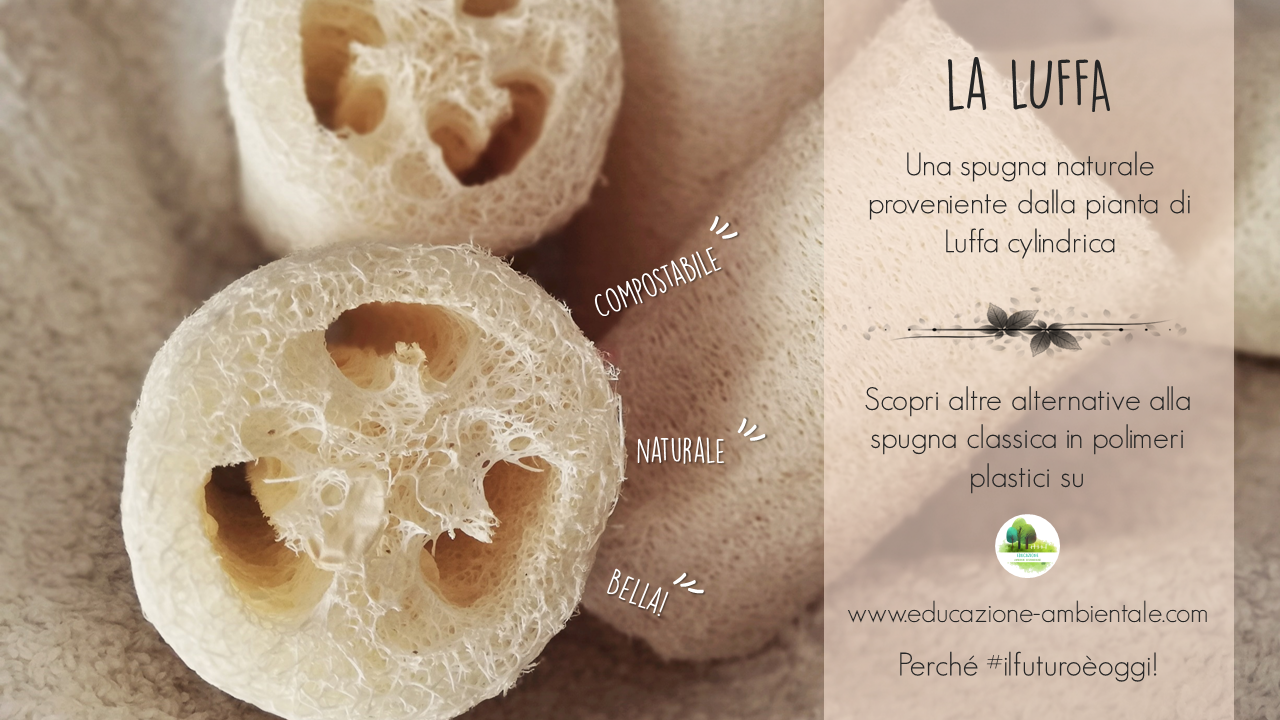 La spugna per i piatti è un dispenser di microplastiche: ecco come ...